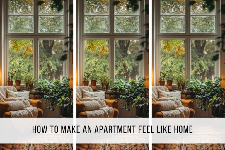How to Make an Apartment Feel Like Home: Cozy Vibes in 7 Easy Steps ...